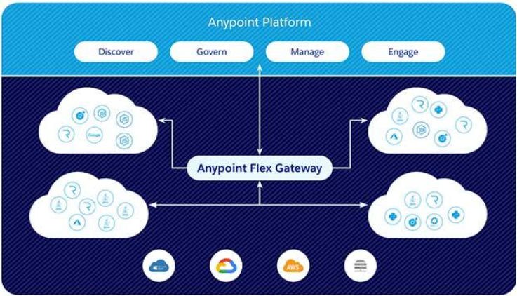 Flex Gateway - Your Gateway to Secure Data Transit | Adaptiv