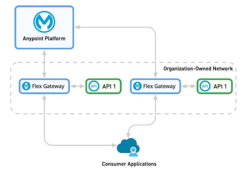 Flex Gateway - Your Gateway to Secure Data Transit | Adaptiv