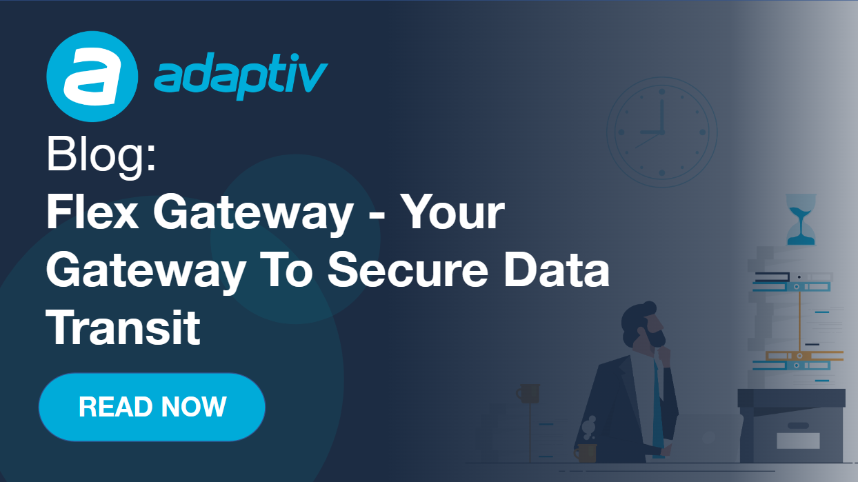 Flex Gateway - Your Gateway to Secure Data Transit | Adaptiv